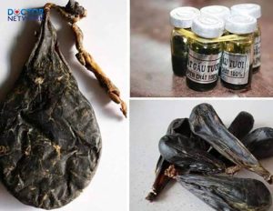 What are the Benefits of Bear Bile? 9 Common Uses - Doctor Network