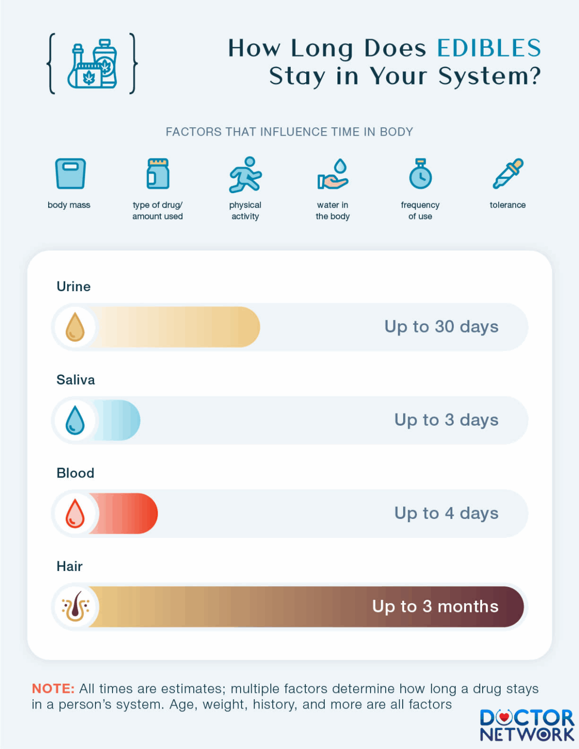 How Long Does an Edible Stay in Your System? Effects & Detection Times ...
